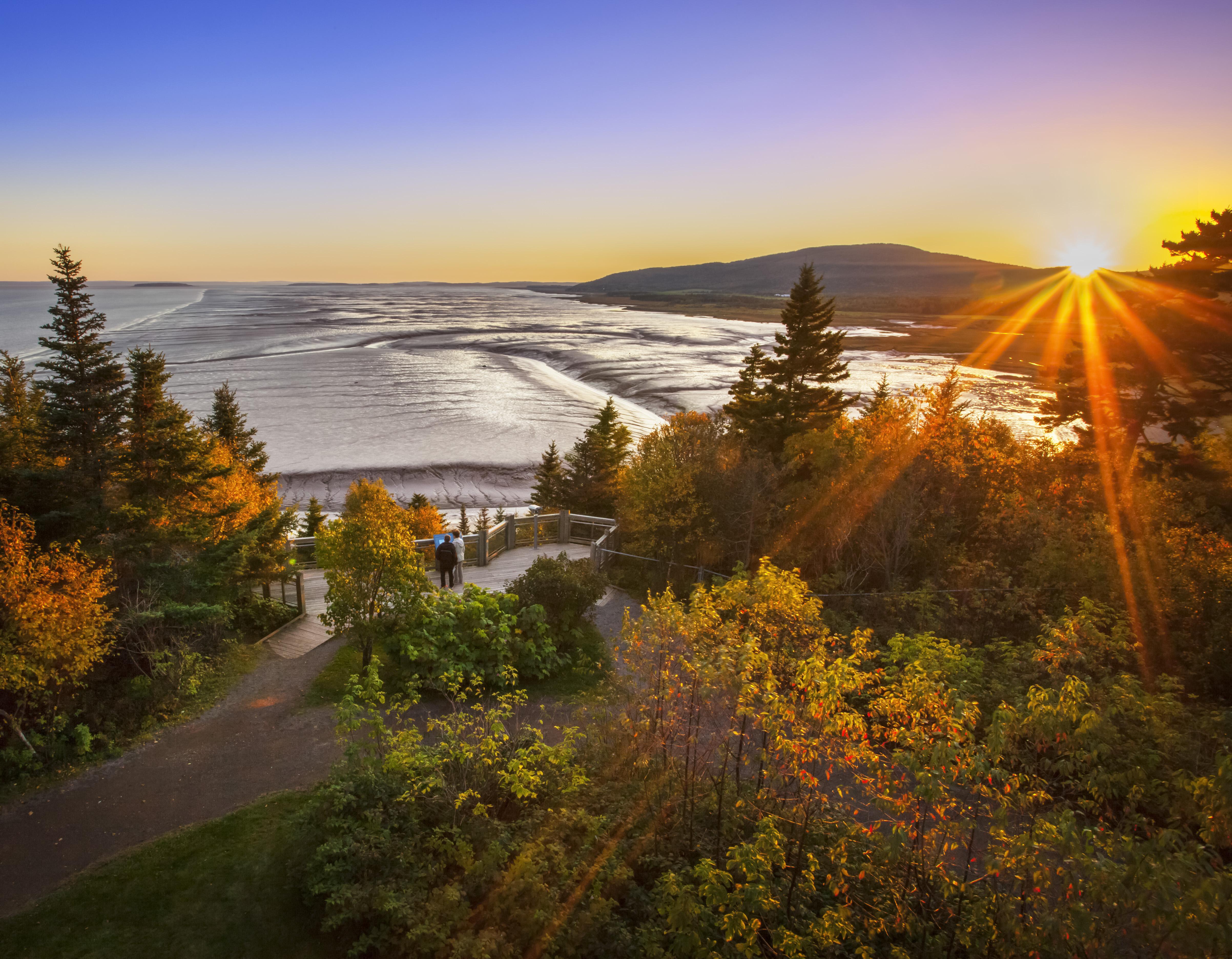 Destination Canada Partners with Air Canada to Incentivize US Travellers